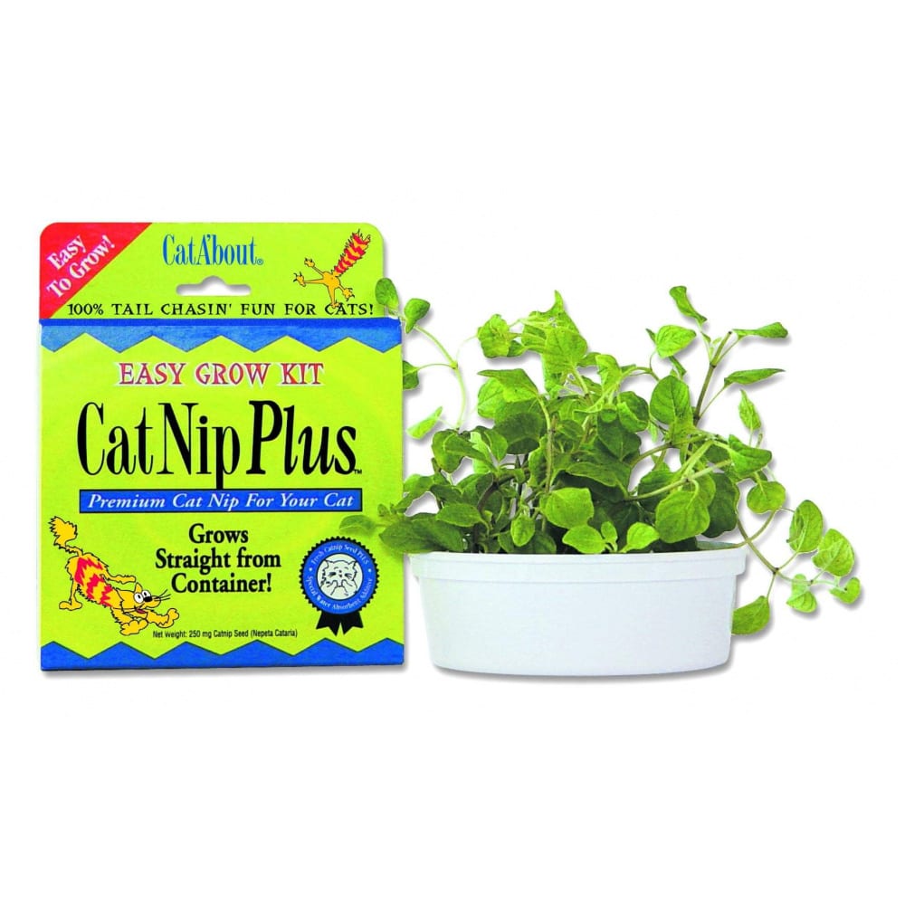 Cat A’bout Cat Nip Plus – Miracle Care Pet Products